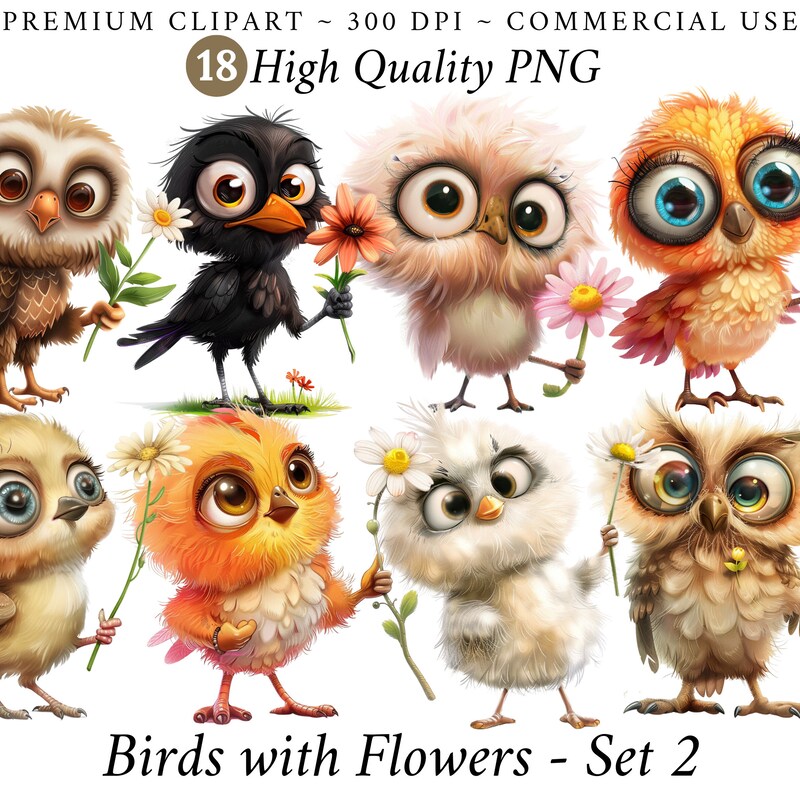 Funny Birds Clipart - Etsy