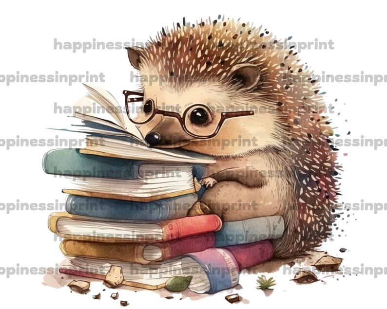Watercolor Hedgehog Clip Art Hedgehog Reading Book Free - Etsy