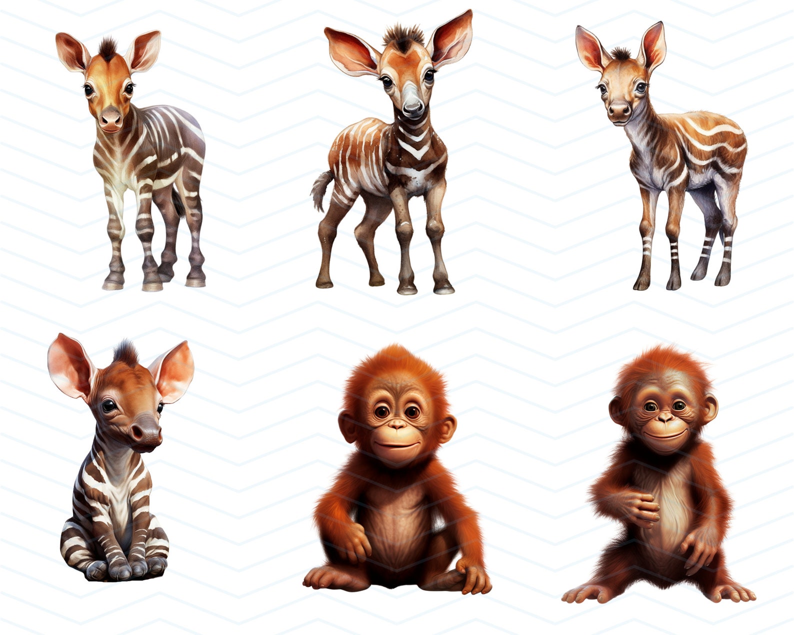 Adorable Rainforest Animal Clipart PNG Jungle Animal Clipart Safari PNG ...