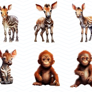 Adorable Rainforest Animal Clipart PNG Jungle Animal Clipart Safari PNG ...