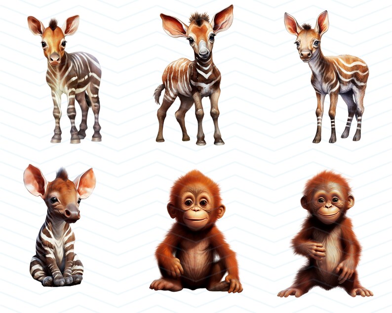 Adorable Rainforest Animal Clipart PNG Jungle Animal Clipart Safari PNG ...