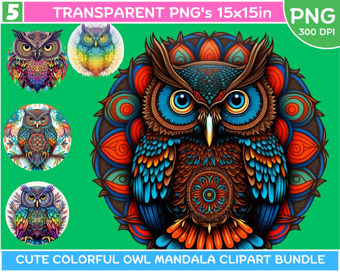 Colorful Owl Mandala Clipart Owl PNG Bundle Bright Owl Clipart - Etsy