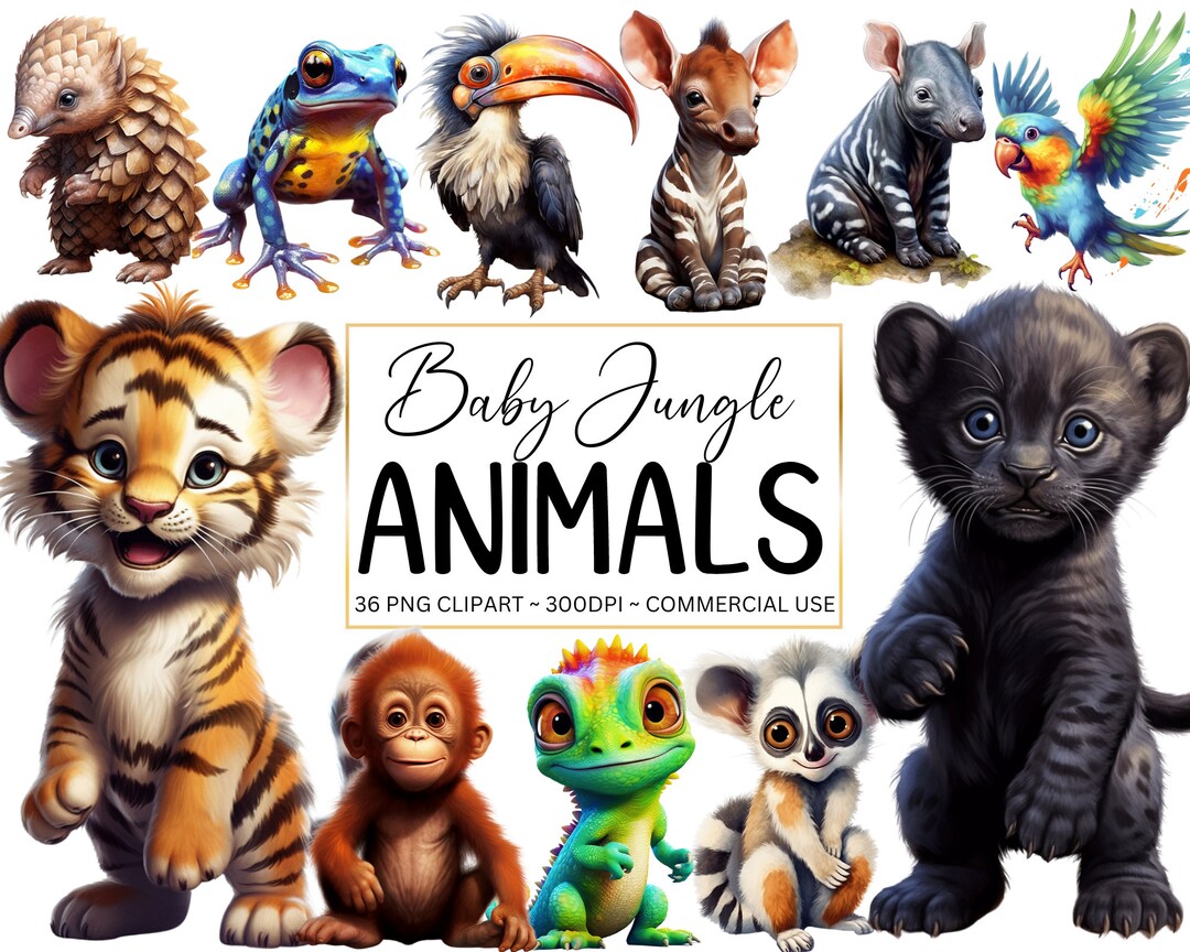 Adorable Rainforest Animal Clipart PNG Jungle Animal Clipart Safari PNG ...