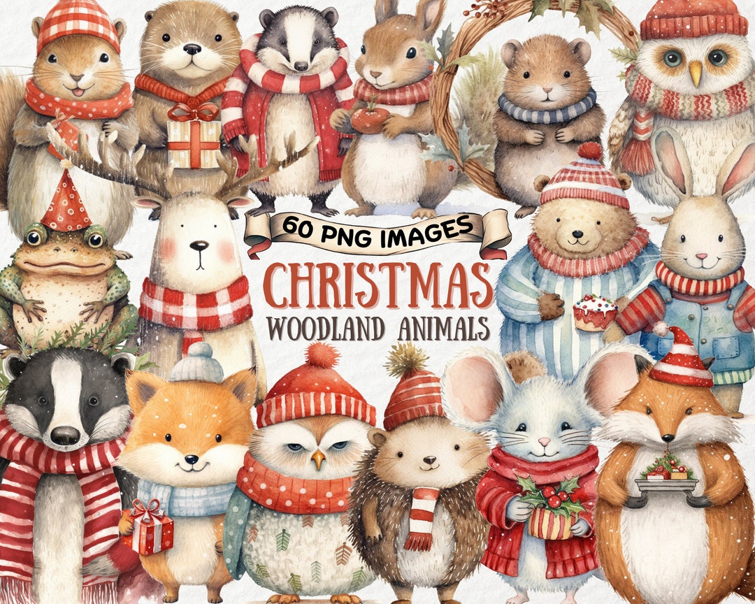 60 Christmas Woodland Animal Clipart PNG Christmas Clipart Bundle ...