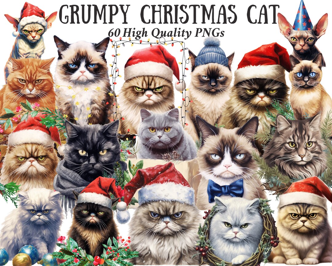 Grumpy Christmas Cat Clipart Bundle Kitten PNG Seasonal Holiday Clip Art Bundle Grumpy Cat ...