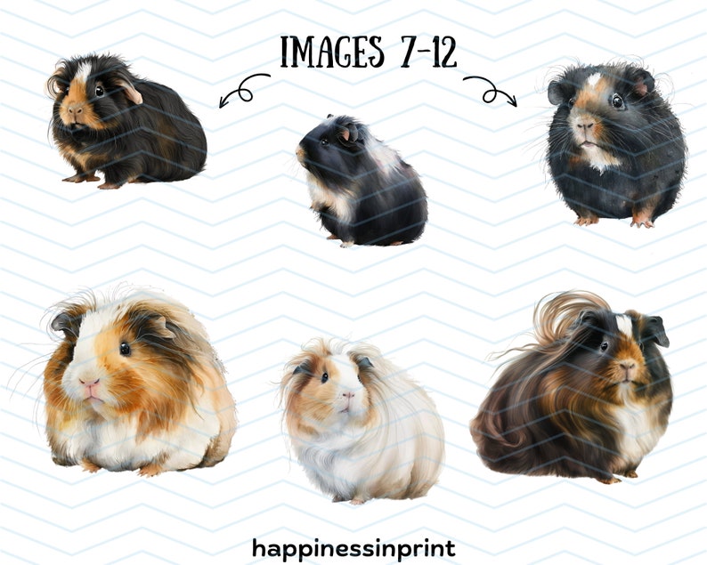 Cute Watercolor Guinea Pigs Clipart Bundle Watercolor Fluffy - Etsy