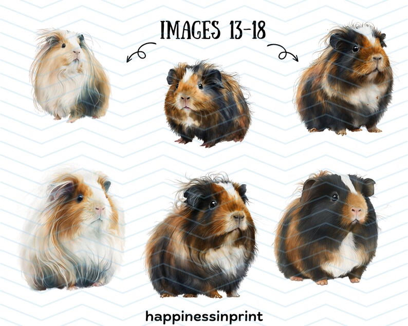 Cute Watercolor Guinea Pigs Clipart Bundle Watercolor Fluffy - Etsy