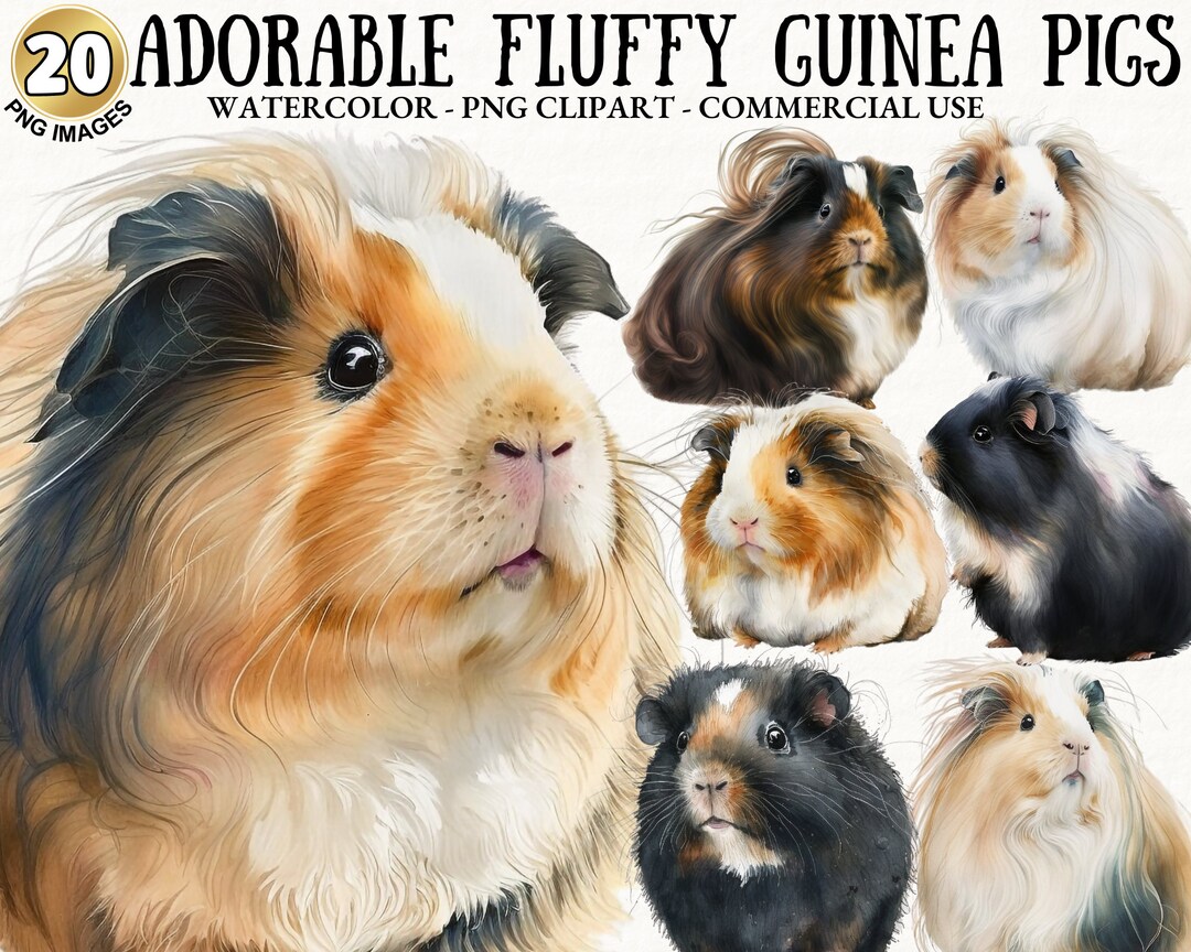 Cute Watercolor Guinea Pigs Clipart Bundle Watercolor Fluffy - Etsy
