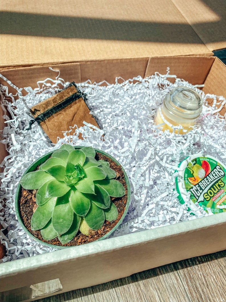 Back to School Depression Coping Box - Etsy