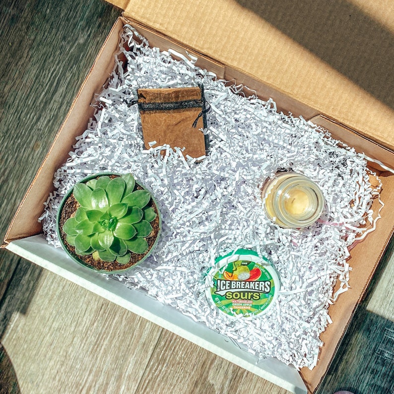 Back to School Depression Coping Box - Etsy