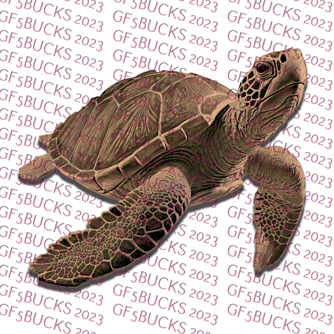 Laser Burn PNG | 3D Illusion | Engrave | Laser Ready | Digital Design ...