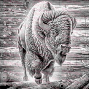 Buffalo 3D Illusion Digital File - Laser Engraving Ready (instant ...
