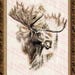 3D Illusion Moose Digital Art PNG, Moose and Mountain Scene Design ...