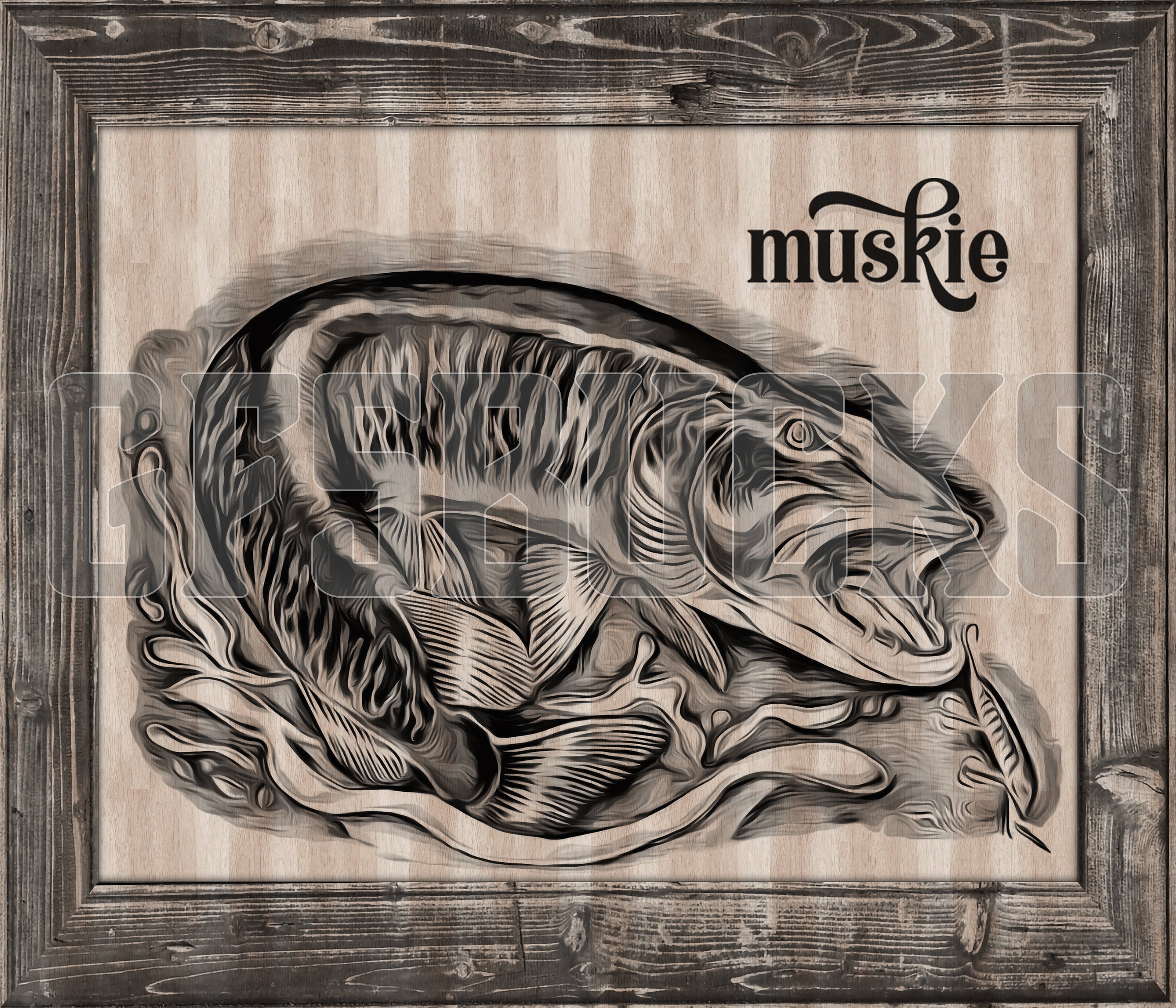 Muskie Drawings