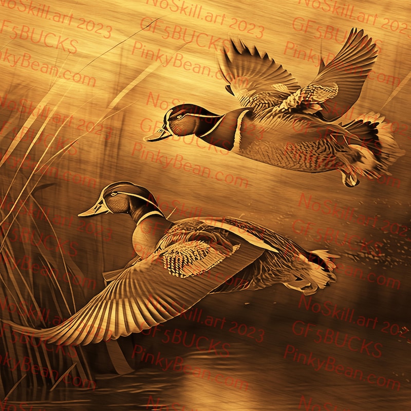 Wood Burned Bird Plaques - Etsy