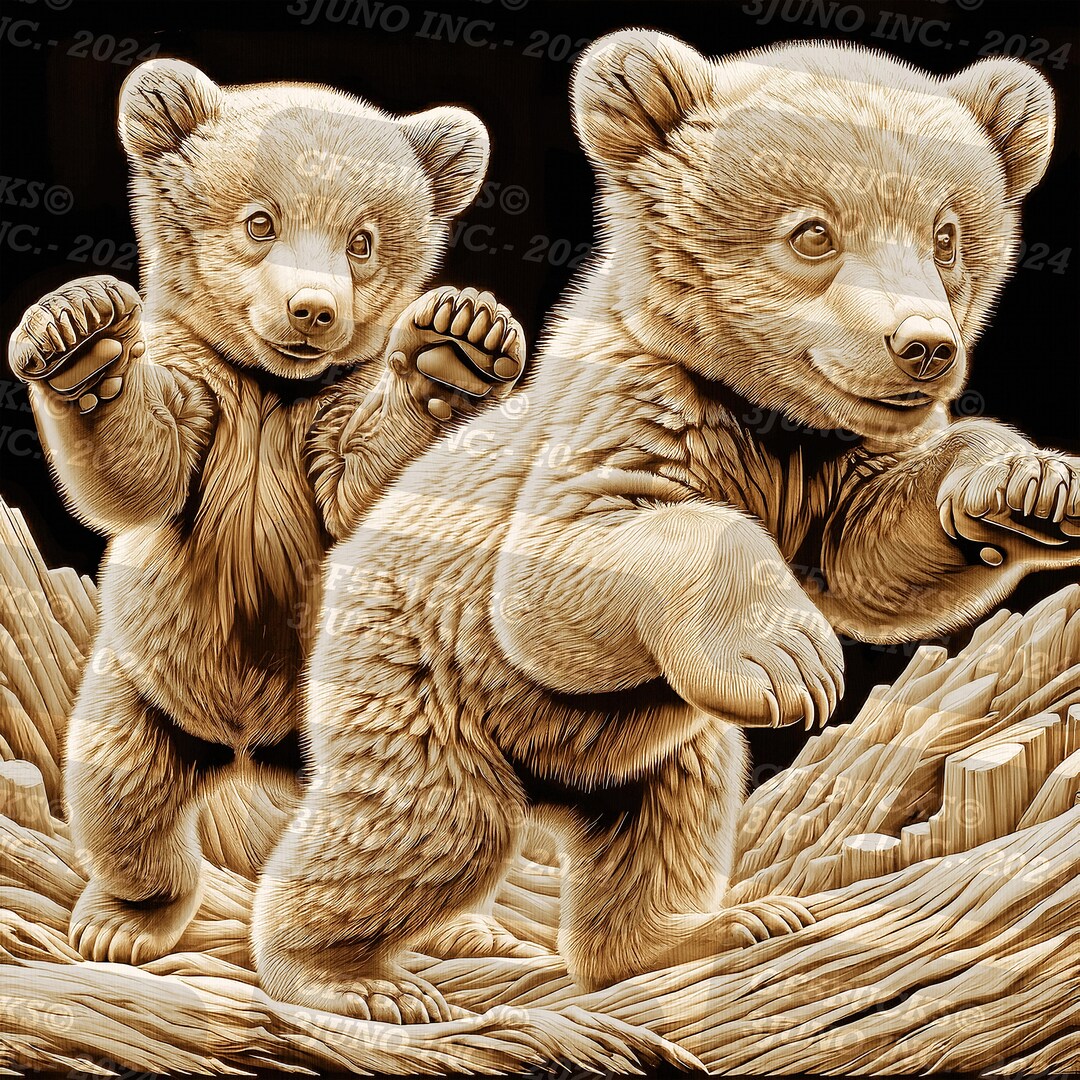 3D Illusion | Laser PNG Digital File | for Engraving | Laser Ready ...