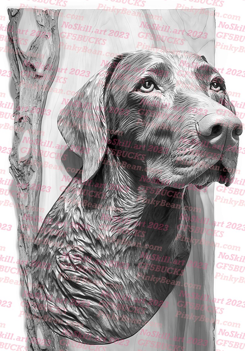 Laser Burn PNG | 3D Illusion | Engrave | Laser Ready | Digital Design ...