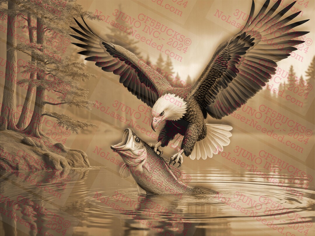 Bald Eagle Catching Fish | 3D Illusion Art | Nature Scene | Laser ...