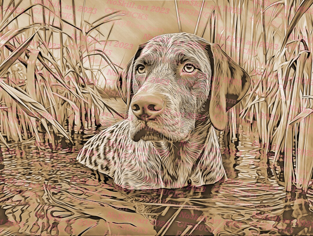 Digital Dog - GSP Hunting Dog: Adorable Dog Illustration | 3D Illusion ...