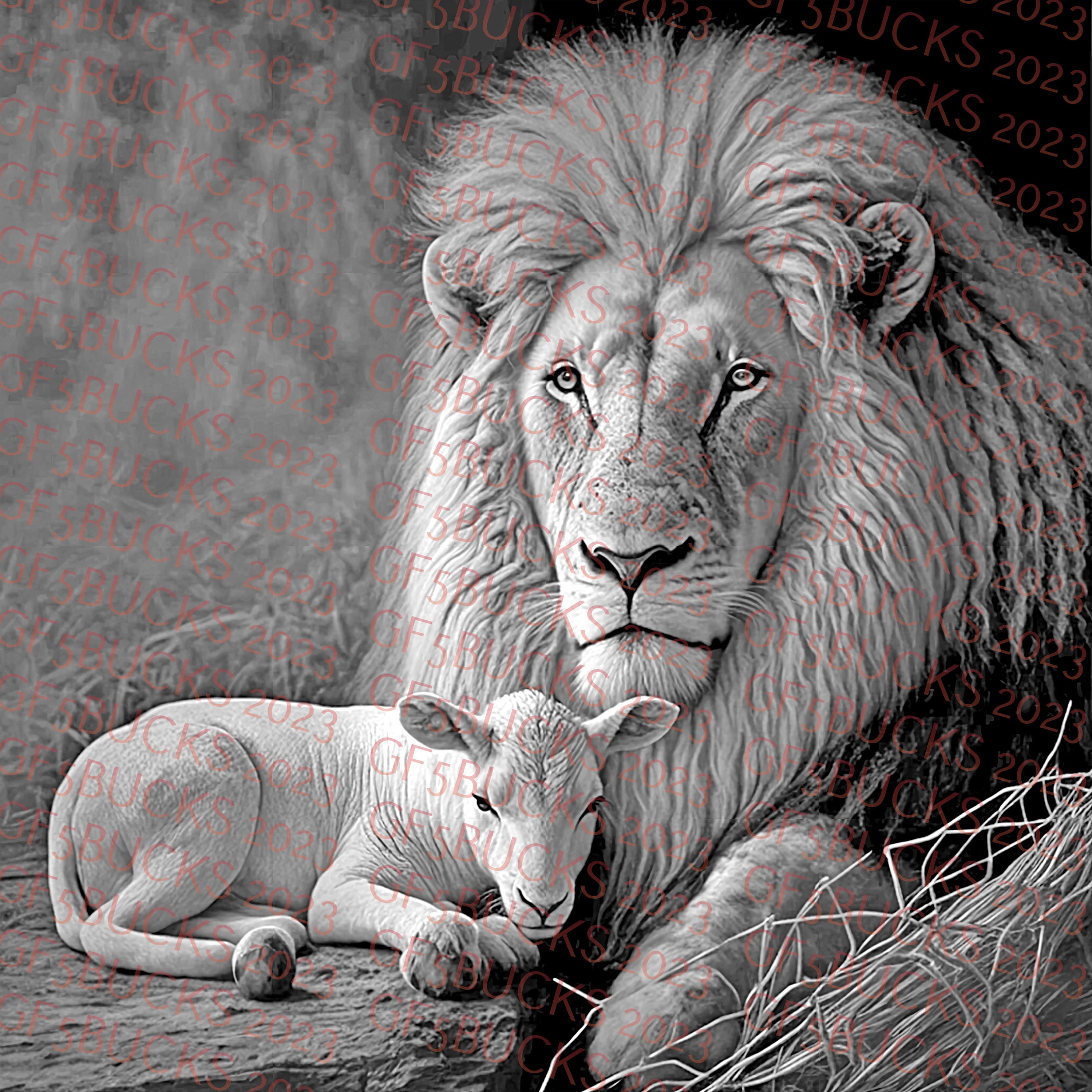 Lion And Lamb