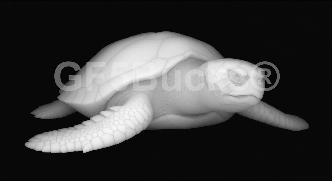3D Illusion Loggerhead Turtle Depth Map PNG or TIFF (zipped) – 16-bit ...