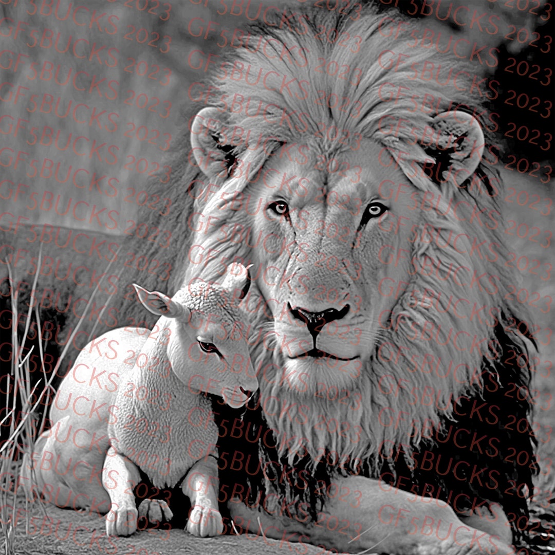 Laser Burn PNG | 3D Illusion | Engrave | Laser Ready | Digital Design ...