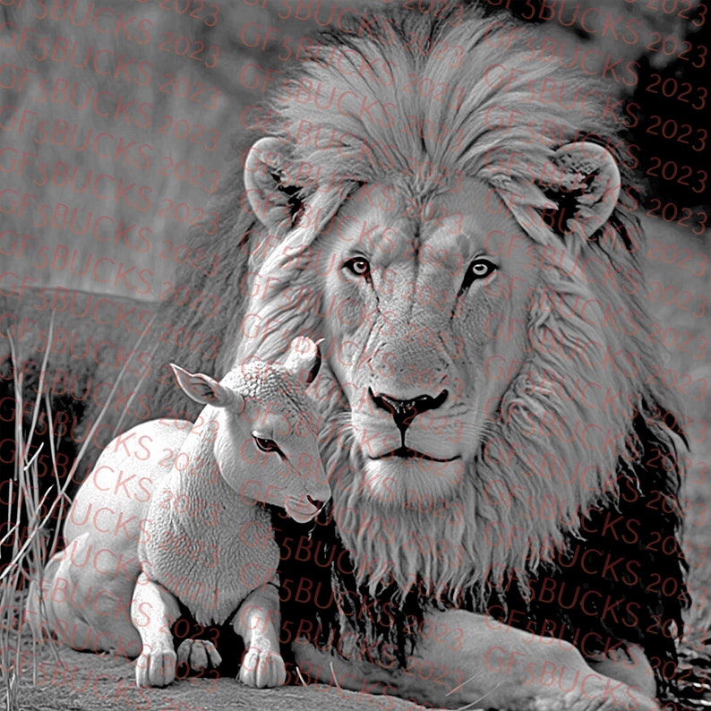 Laser Burn PNG 3D Illusion Engrave Laser Ready Digital - Etsy