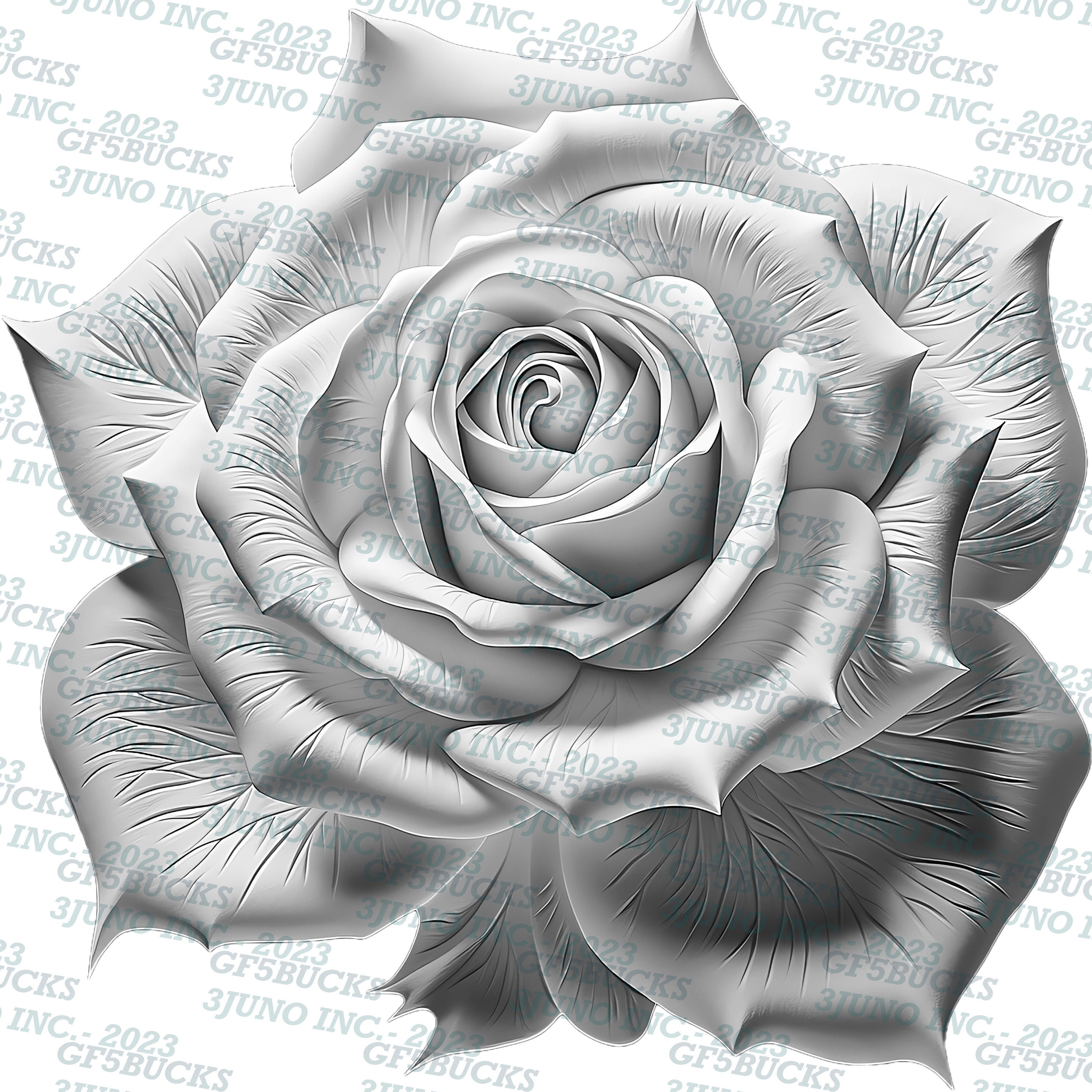 3d Rose Drawing