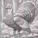 Wild Turkey, Thanksgiving - Laser Burn PNG | 3D Illusion | Engrave ...