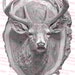 3D Illusion Laser Burn PNG | Engrave Deer Buck Mule White Tail | Laser ...