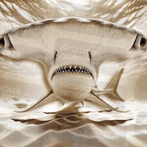 3D Illusion | Laser PNG Digital File | for Engraving | Laser Ready ...