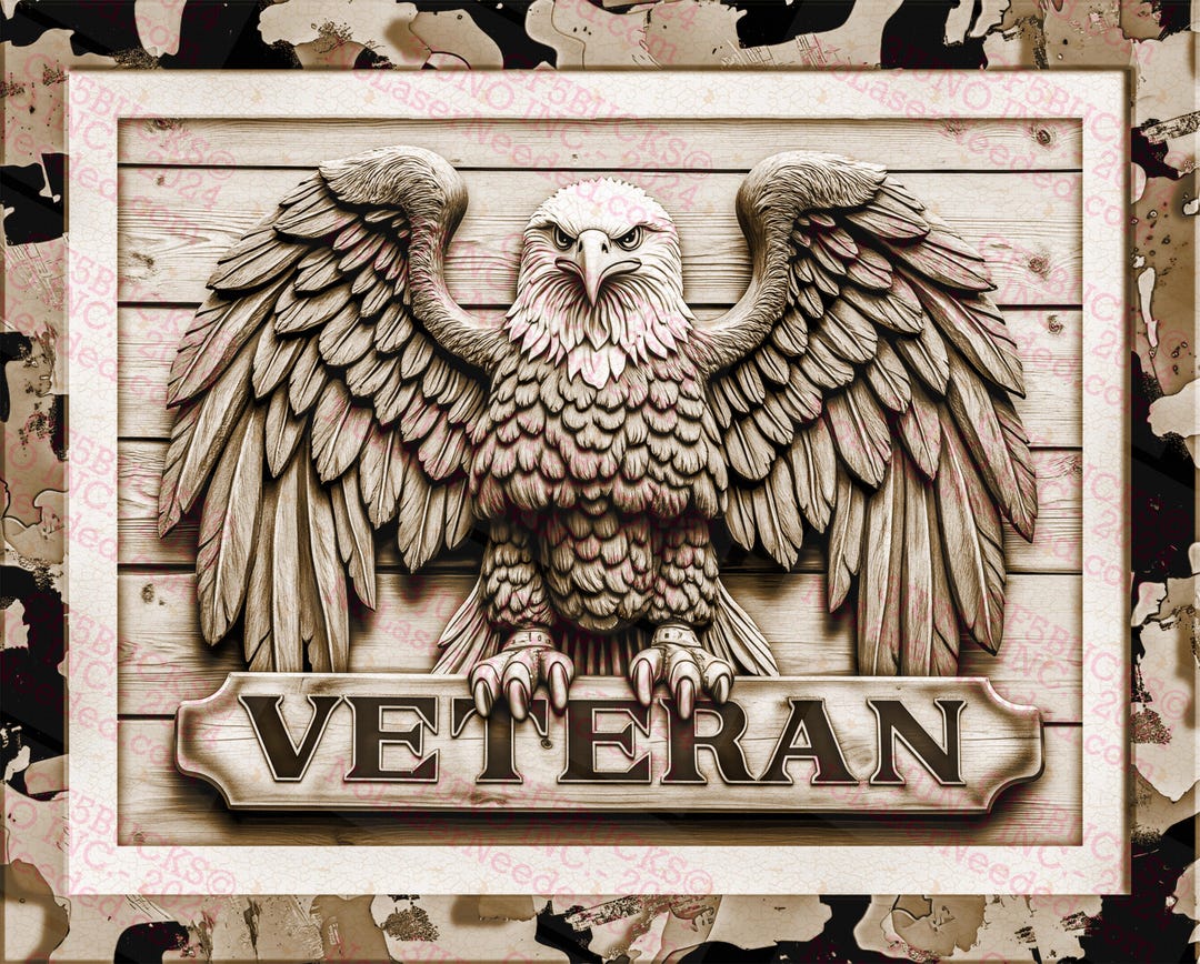3D Illusion Bald Eagle Veteran Sign, Patriotic Eagle Artwork, Veteran ...