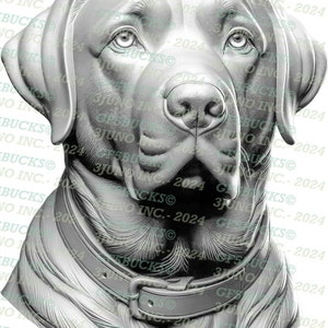 3D Illusion | Laser PNG Digital File | for Engraving | Laser Ready ...