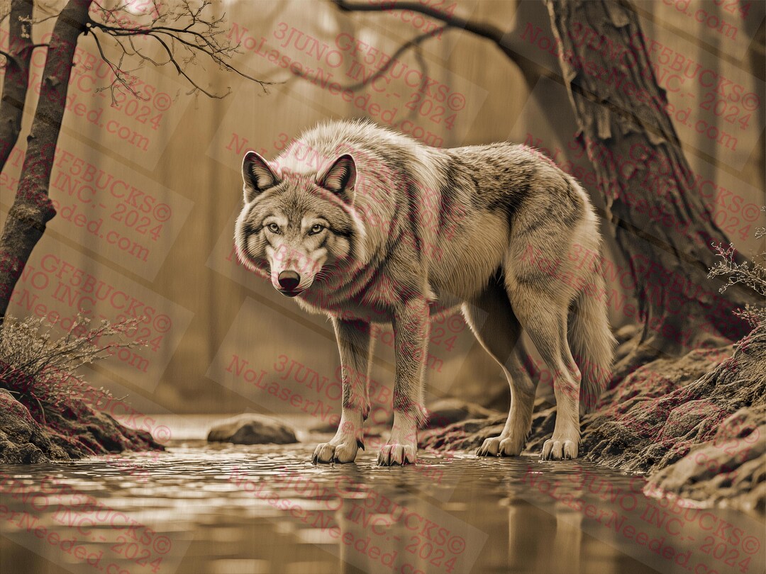 3D Illusion Wolf Art | Majestic Forest Wolf Decor | Wild Animal Wall ...