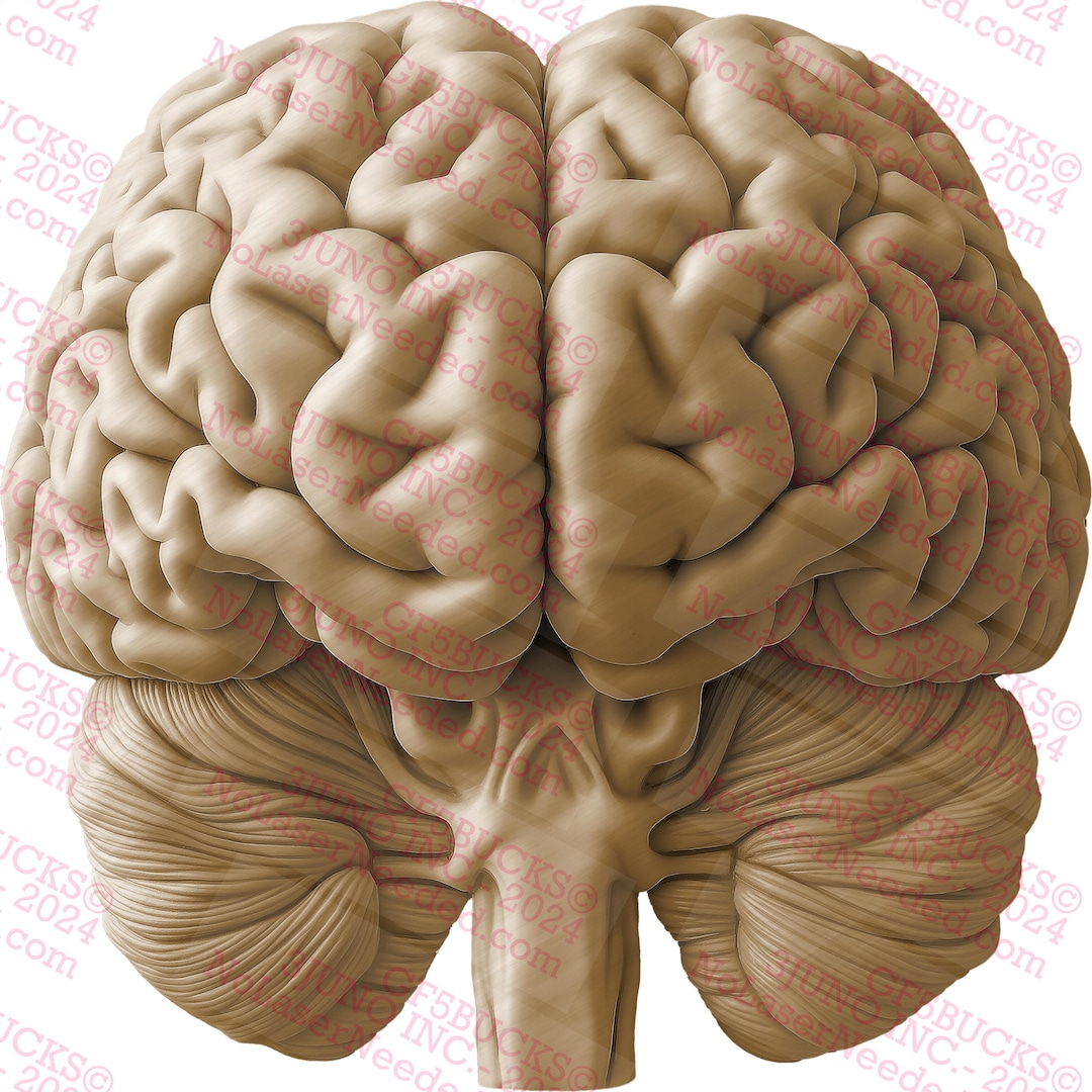 3D Illusion Art - Detailed Brain Design - Laser Engraving File for ...