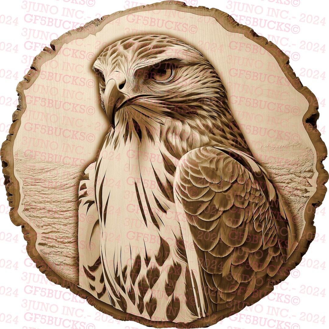 Hawk - Laser Burn PNG | 3D Illusion | Engrave | Laser Ready | Digital ...