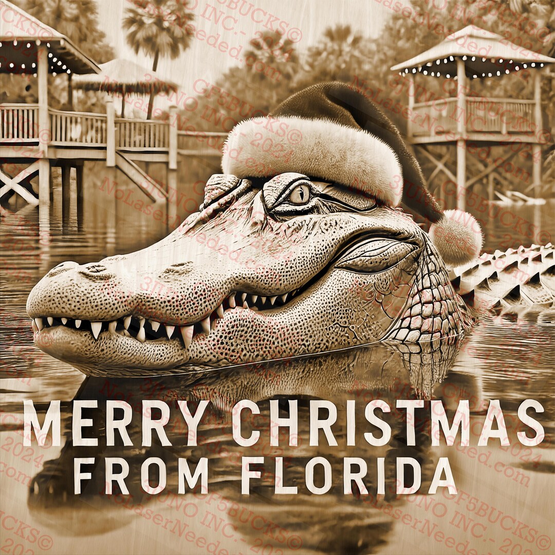 Merry Christmas From Florida 3D Illusion Art Tropical Holiday Alligator ...