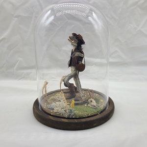 Mummified Dry Preserved Water Dragon Lizard Cowboy Western - Etsy