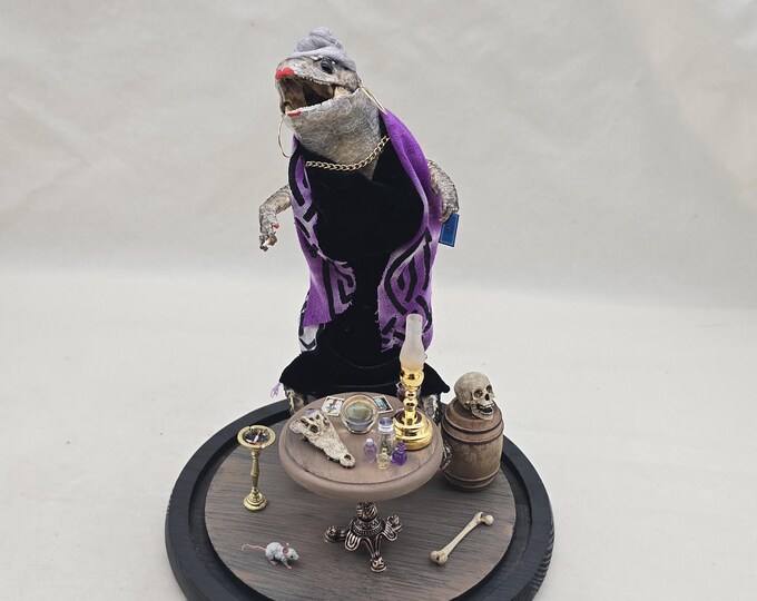 Real Skink Lizard Mummified Preserved Animal Hoodoo Queen Voodoo ...