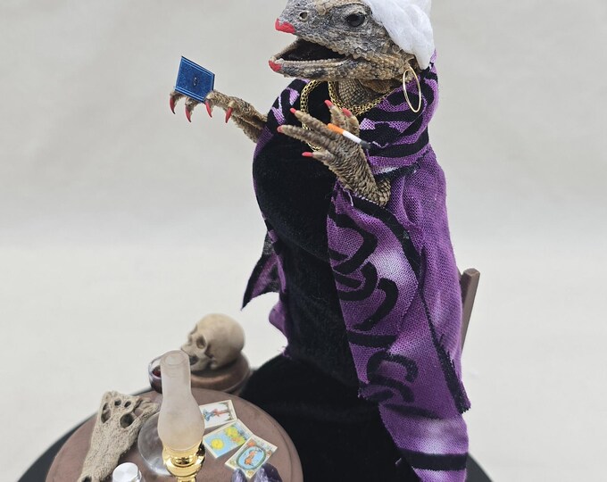 Mummified Real Uromastyx Lizard Taxidermy Animal Fortune Teller Witch ...