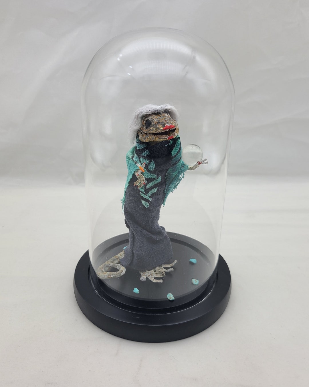 Real Dry Preserved Tokay Gecko Mummy Lizard Wizard Taxidermy Oddity - Etsy