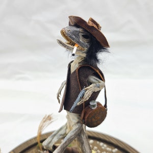 Mummified Dry Preserved Water Dragon Lizard Cowboy Western - Etsy