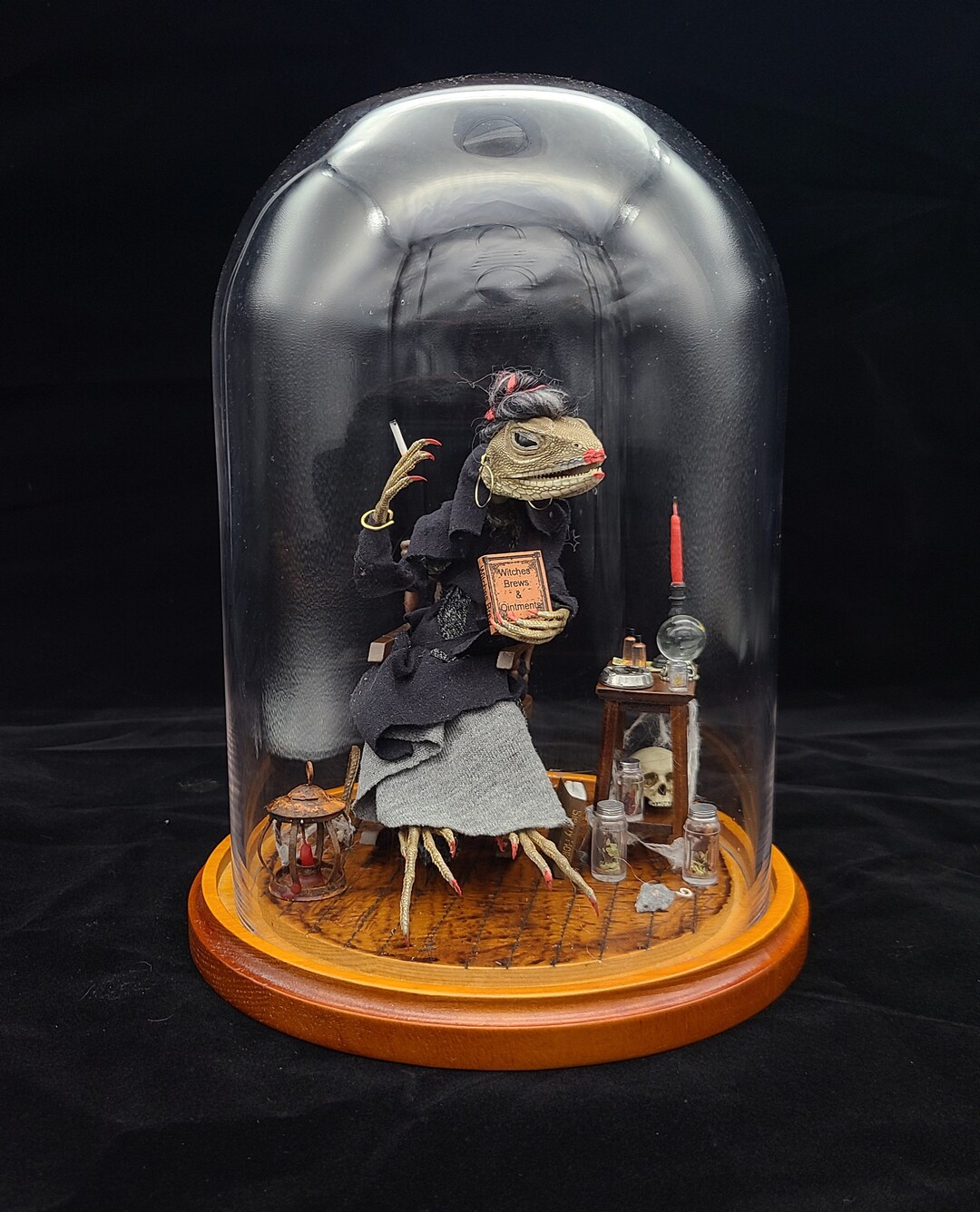 Mummified Dry Preserved Lizard Chinese Water Dragon Hag Witch - Etsy