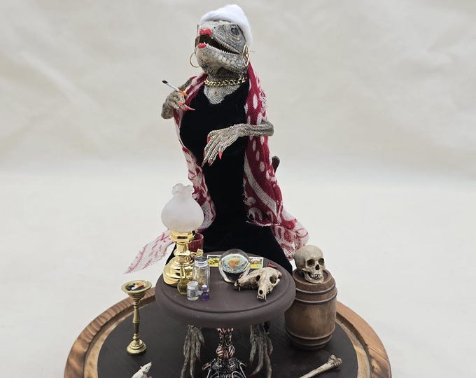 Real Water Dragon Lizard Mummified Preserved Animal Hoodoo Queen Voodoo ...