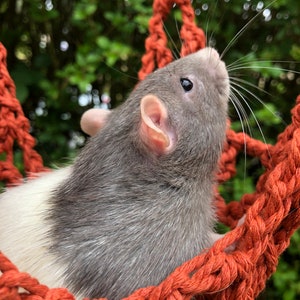 Rat Fall Breaker - Etsy