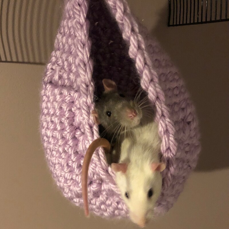 Rat Hammock - Etsy