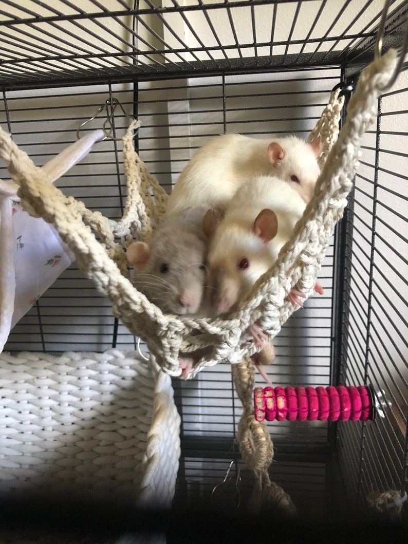 Rat Fall Breaker - Etsy