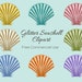 Watercolor Seashells Clipart Glitter Beach PNG Ocean Clipart Summer ...