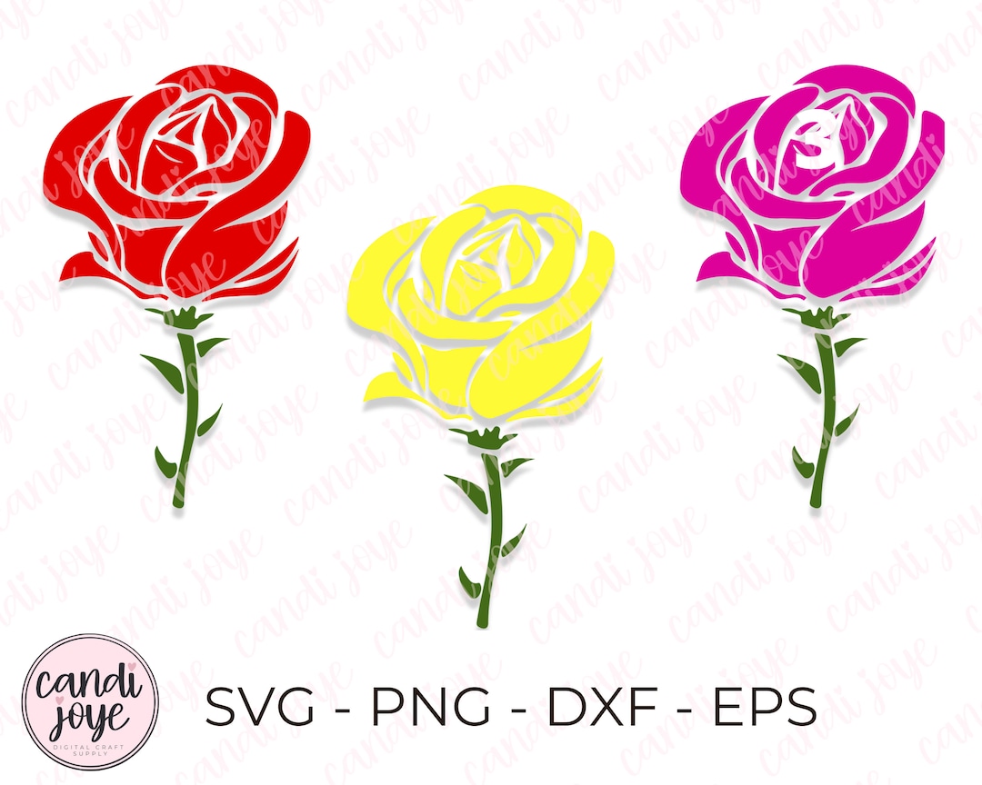 Single Rose SVG Cut File Rose PNG Bundle Floral SVG Valentine Svg ...