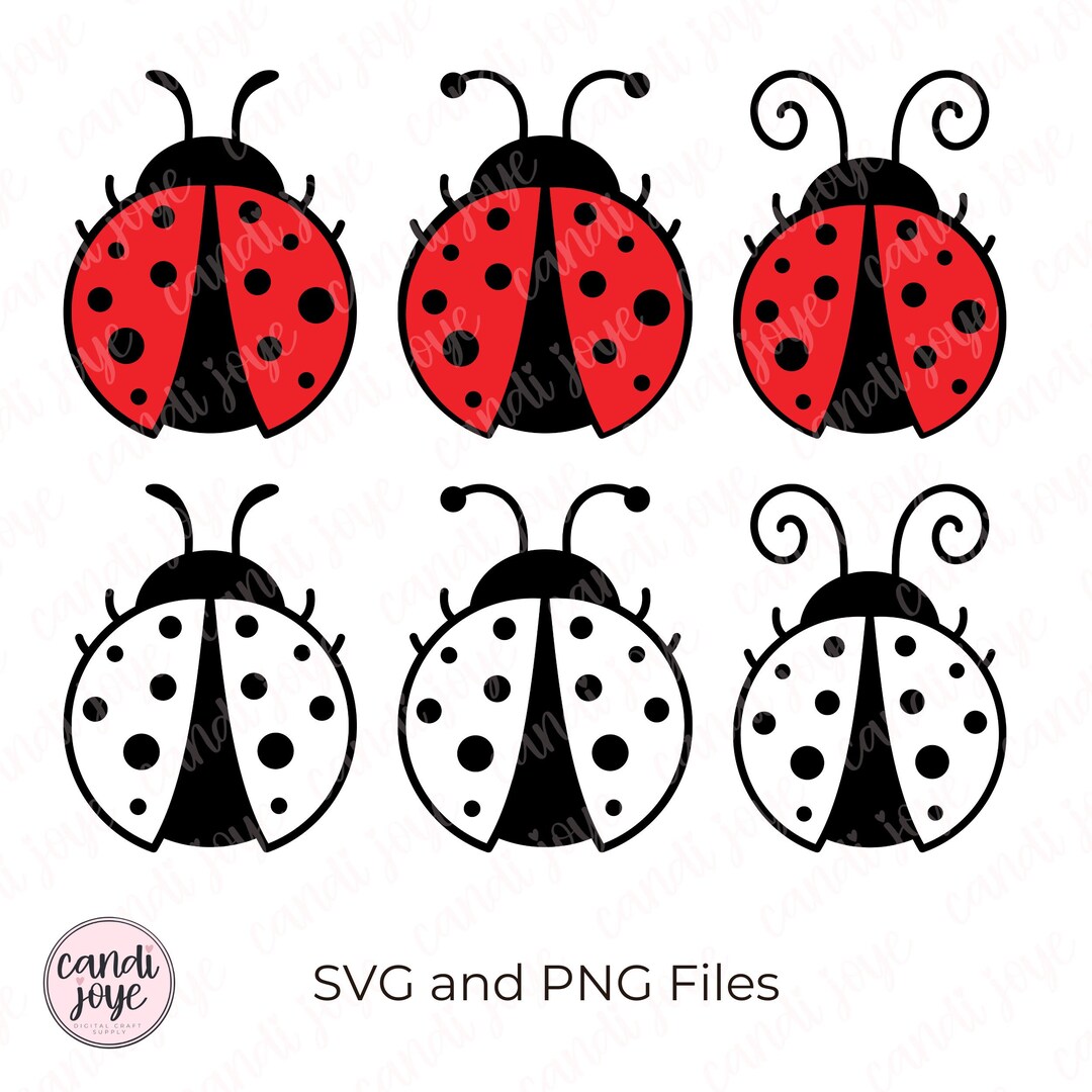 Ladybug SVG Ladybug Clipart Ladybug PNG Nature SVG Cute but Cut Files ...